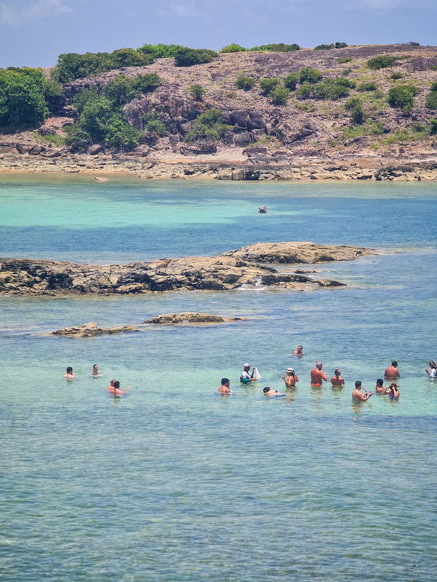 New Zealand's Best Swimming Beaches: A Beachgoer's Guide » Localbase