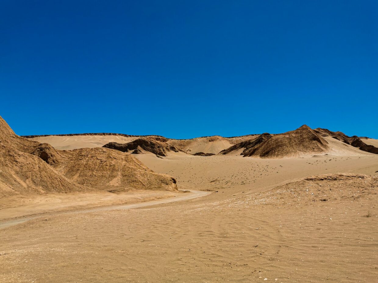 Camping In New Zealand's Desert Regions: A Camper's Guide » Localbase
